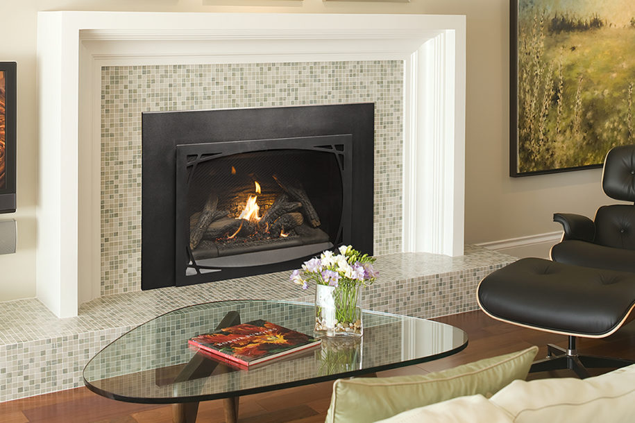 Fireplace Inserts – Superior Hearth, Spas & Leisure